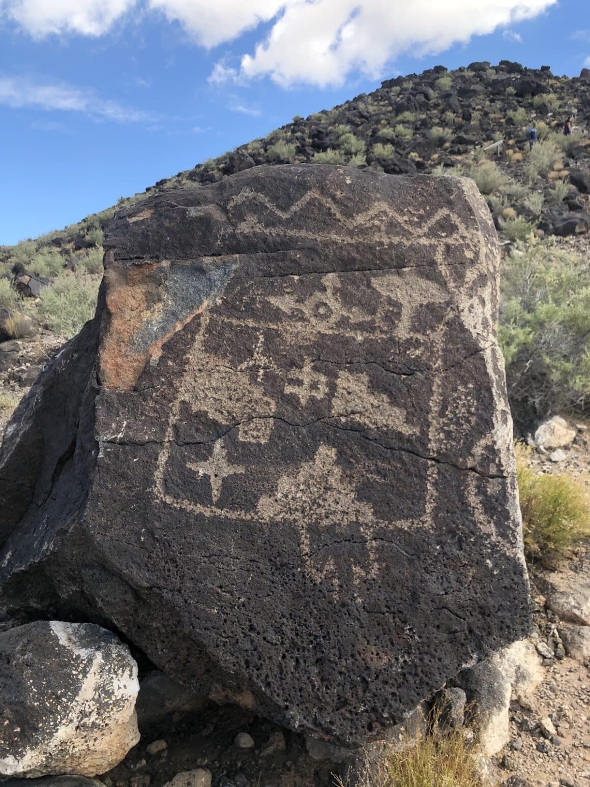All Things Albuquerque - The Healthy Voyager